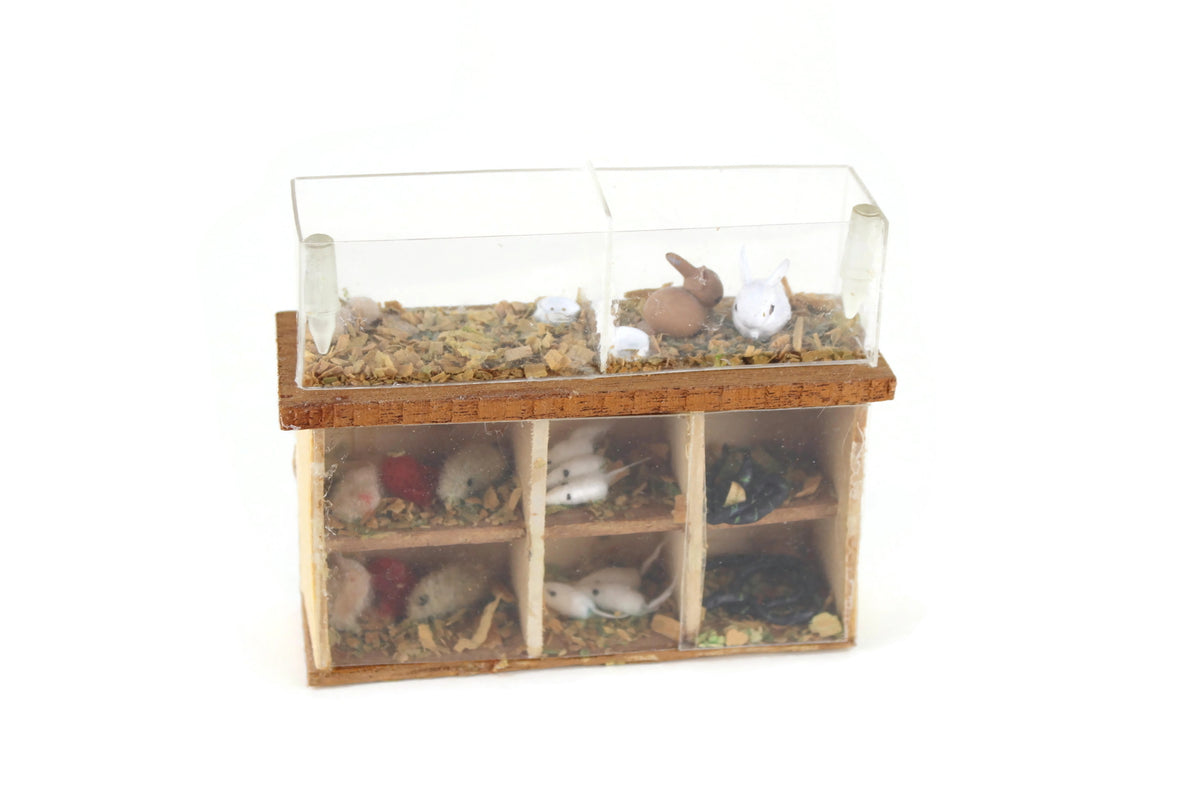 Vintage 1:12 Miniature Dollhouse Wooden Pet Shop Counter with Animals ...