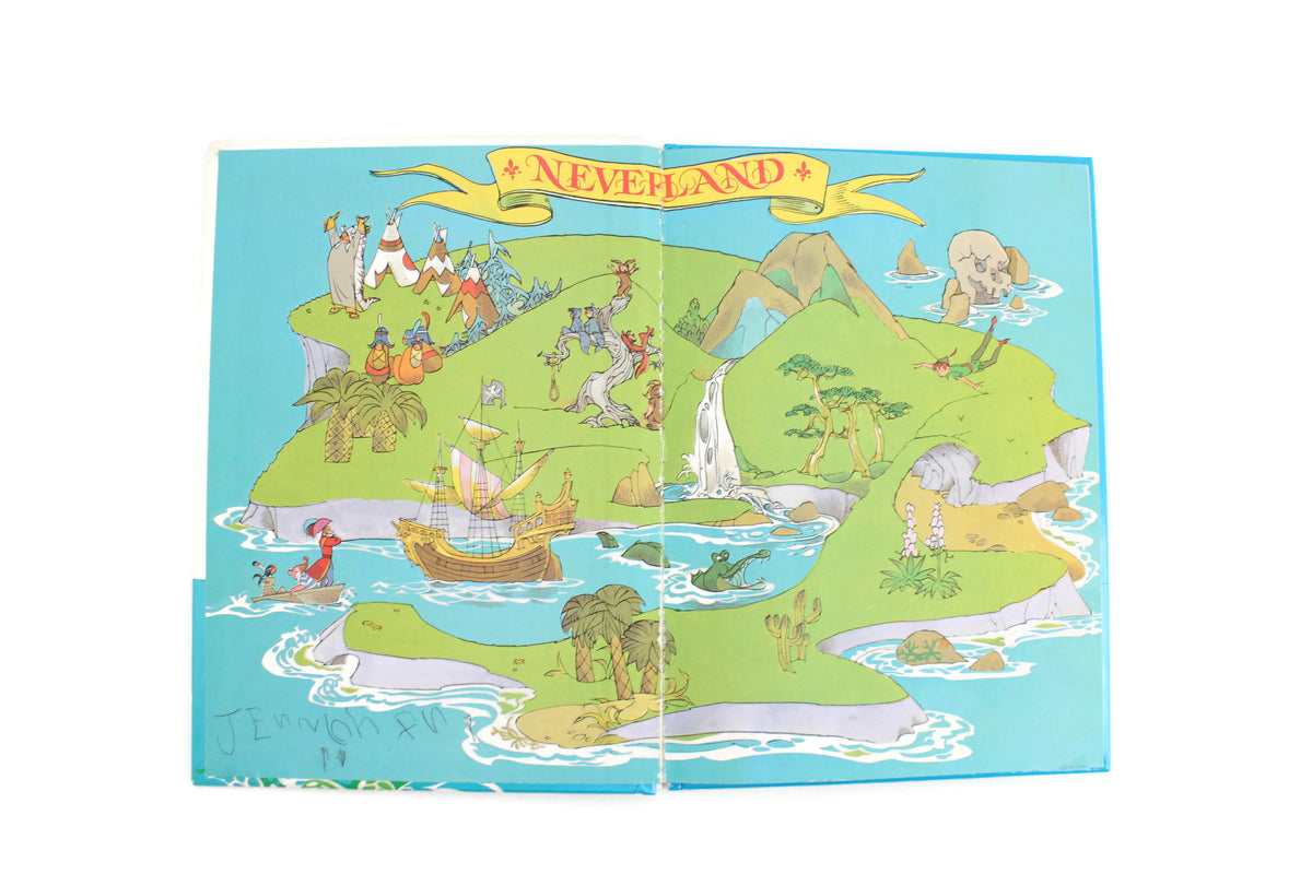 Vintage Walt Disney Peter Pan & Captain Hook Hardcover Book – The ...